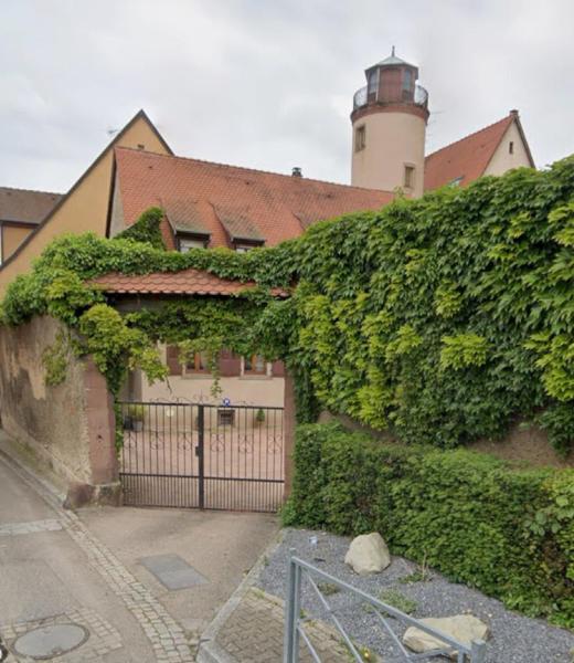 Le Belvédère Au Cœur De Saverne - Saverne