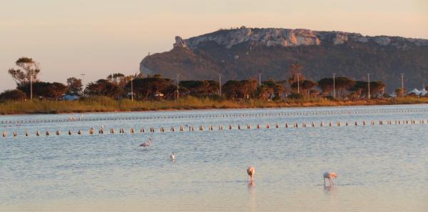 Best Western Hotel Residence Italia - Cagliari