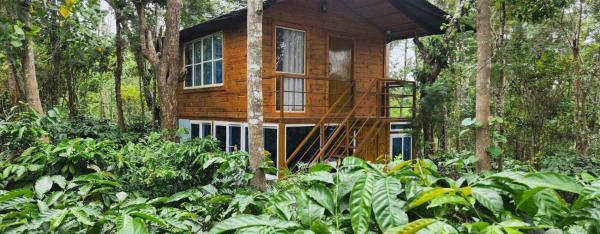 Iciri Farm Resort - Kodagu