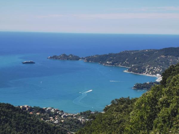Hotel Montallegro - Rapallo