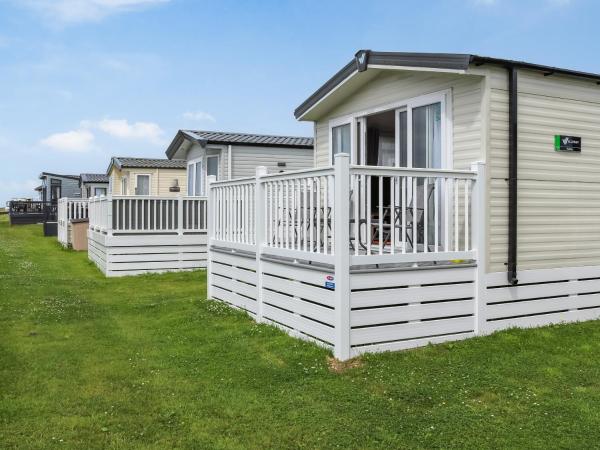 The Laughing Seagull - Uk50213 - Aberystwyth