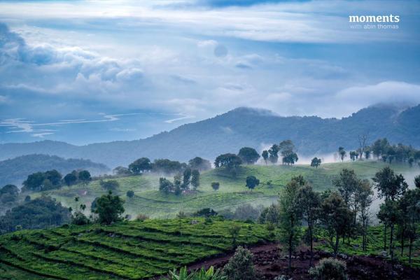 The Logs Resort - Kotagiri