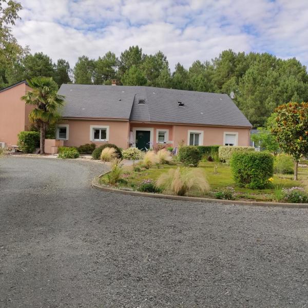 Pascal Et Domi Chambres "L'oasis Des Pins" - Sarthe