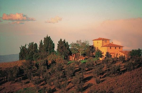 Archipettoli - Tuscany