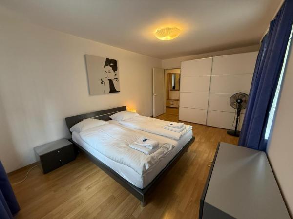 Nice 1br Flat In The City Center - Crown 3 - Zürich