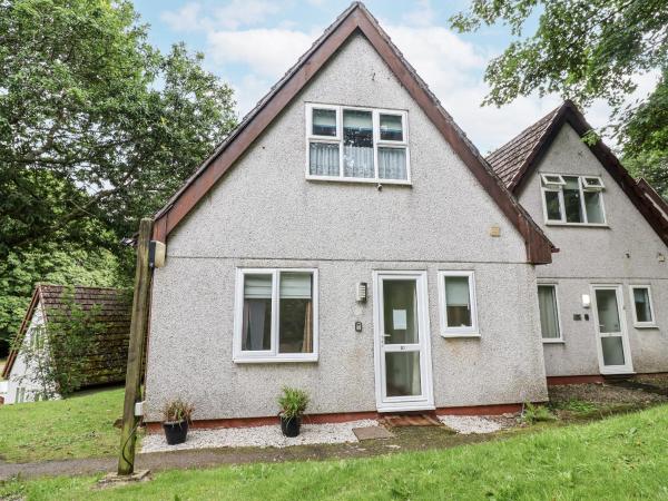 Valley Lodge 20 - Tavistock
