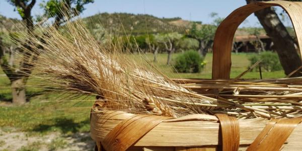 Agriturismo La Mandragola Relais - Crotone