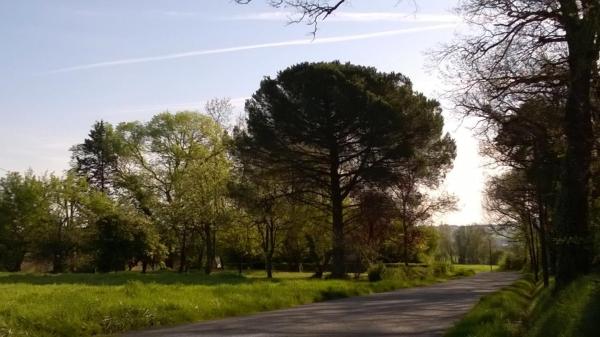 Roquepoix, A Green Stopover To Explore Gascony - Auch