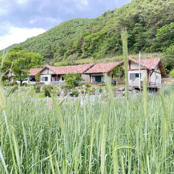 Mindfulstay - South Korea