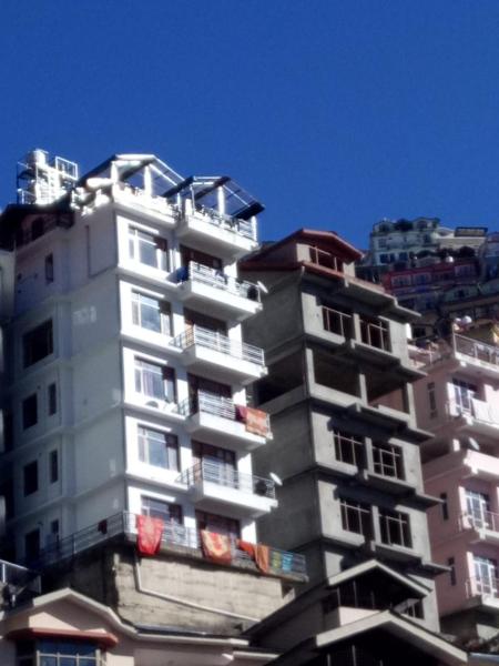 The Nest#9 - Shimla