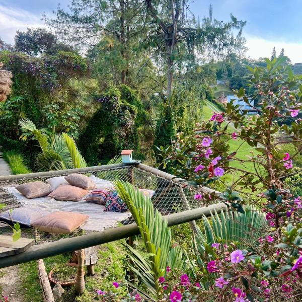 Ecohotel Campestre Rionegro-a 20 Minutos Del Aeropuerto - Rionegro