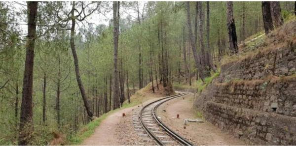 Mountain Majesty Kasauli By Splendid Hotels - Kasauli