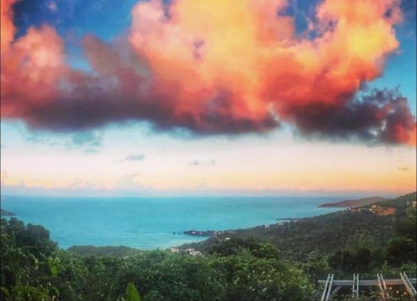 Casita Orquidea - U.S. Virgin Islands