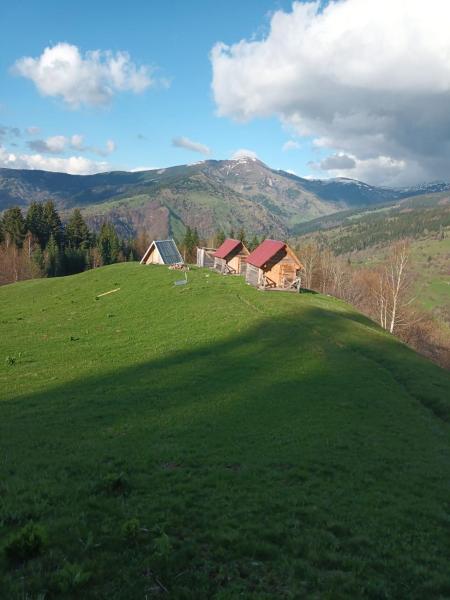 Eco Katun Kofiljača - Montenegro