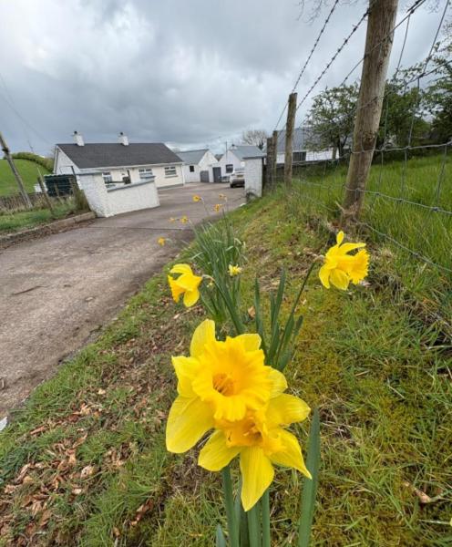 Ma Monaghan's Cosy Cottage County Tyrone - County Donegal