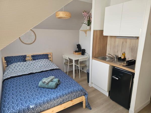 Joli Studio Plein Centre Proche Gare Orléans - Loiret