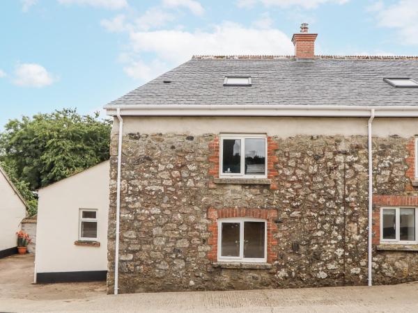 Aunty Junes Cottage - Okehampton
