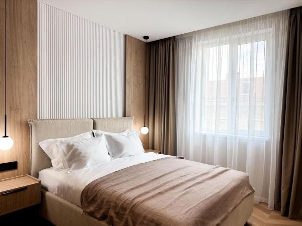 Bussiness Loft Oldcity - Iași