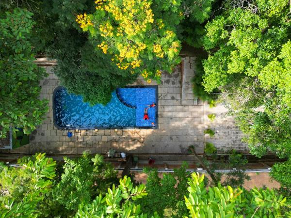 Thennal Junglecamp - Kodagu