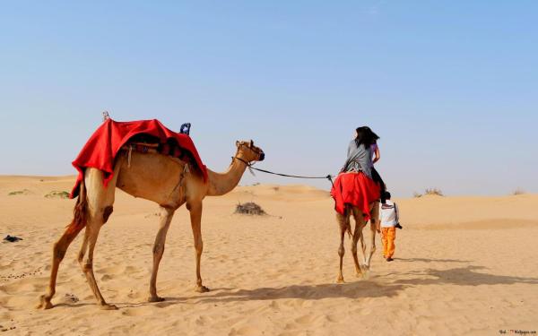 Desert Empire Resort - Jaisalmer
