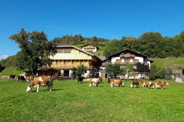 Gschtraffhof - Urtijëi