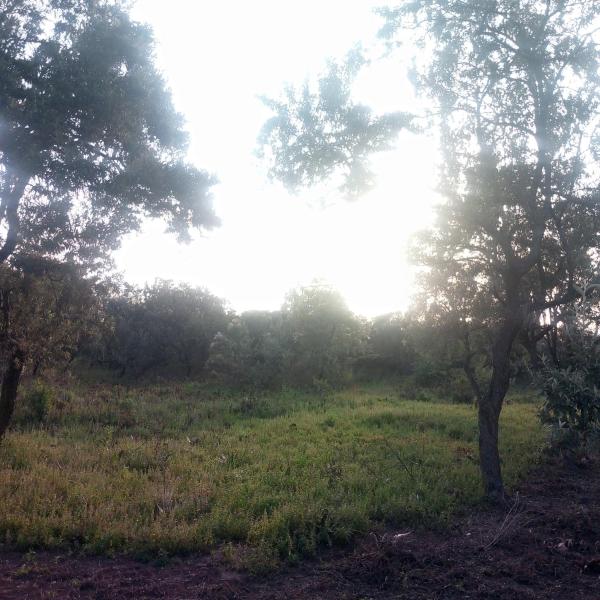 Mastev Campsite Undeveloped - Kenya