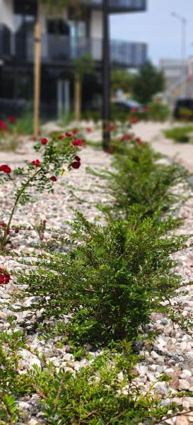 Apartament Pruszcz Park 10 - Gdańsk