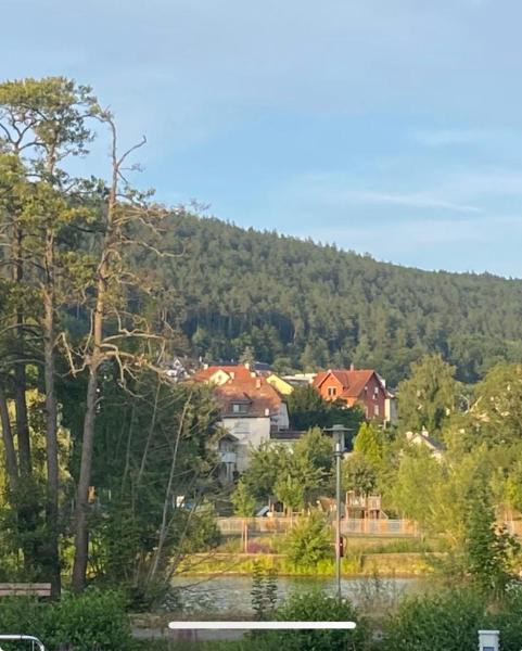 Main Nest Apartment - Lohr am Main