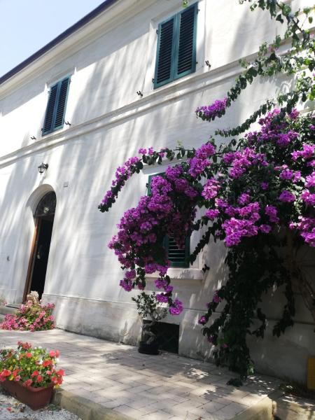 La Bouganville - Macerata