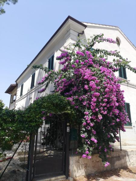 La Bouganville - Macerata