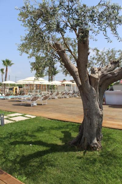 Neas Resort - Castel Volturno
