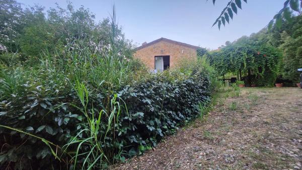 Agriturismo Raggio Di Sole - Montepulciano
