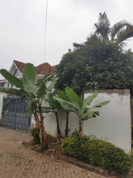 House 21,cedar Groove - Nairobi