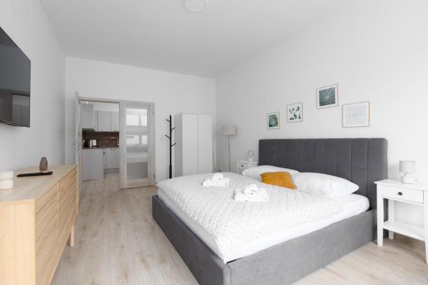 Apartment With 2 Bedrooms With Kitchen Near Metro - Prag