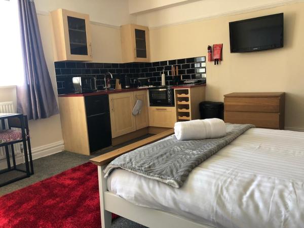 55 Studio No 5 Uplands - Swansea