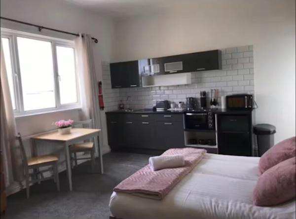 55 Studio 4 Uplands - Swansea