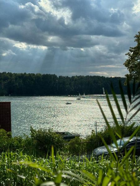Forest & Lake Mikołajki - Mikołajki