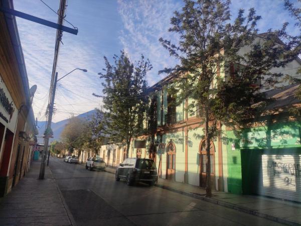 Halley Vicuña, Valle De Elqui - Vicuña