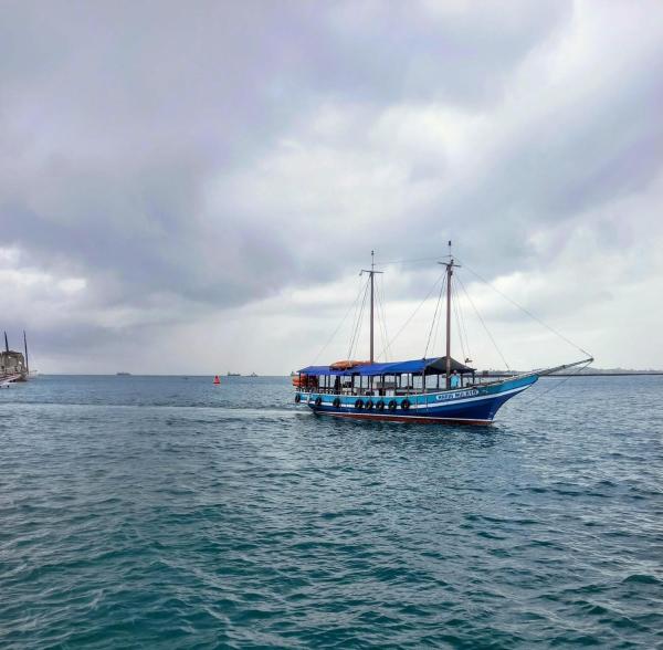 Tour àS Ilhas-salvador - Bahía