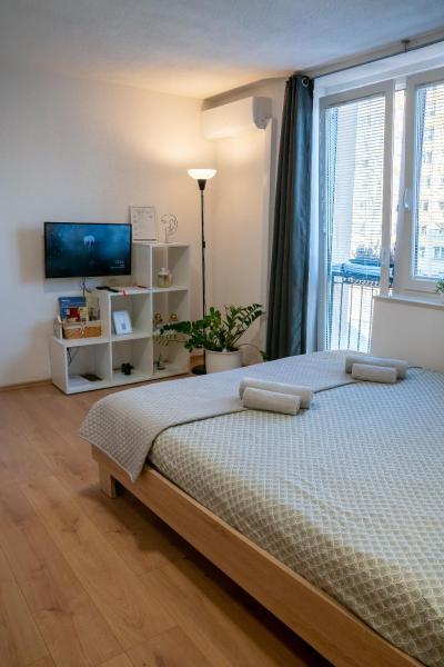 Small But Cozy Apartment - Maribor