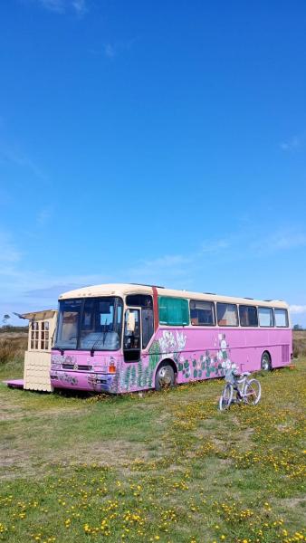 Bus Casa En Observatorio De Aves - Los Lagos