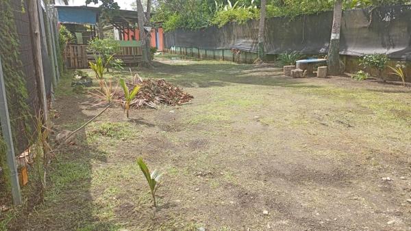 Villa Ale Camping - Costa Rica
