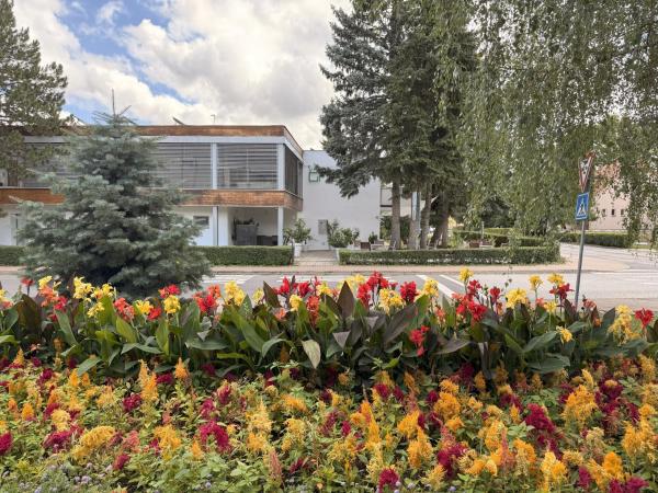 Villa Green - Vígľaš