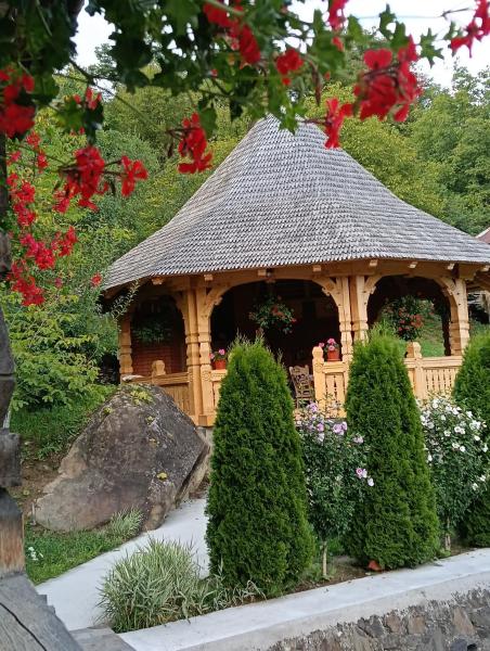 Casa Boris - Poienile Izei