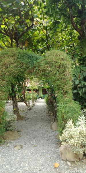 Jungle House And Treking Fun Only Treking With Us - Aceh