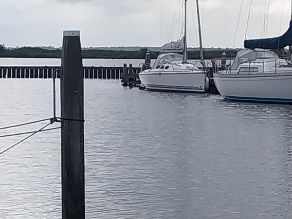 Delight - Urk