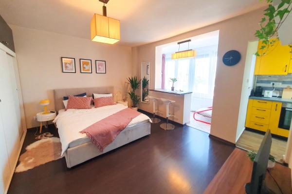 Ospitalier Studios Take Ionescu - Timișoara