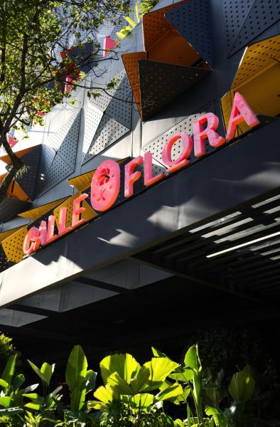 Calle Flora Botanic Hotel - By Jalo - Sabaneta