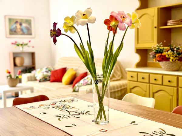 Zaffiro - Stay Pietra Blu Apartments - Terracina