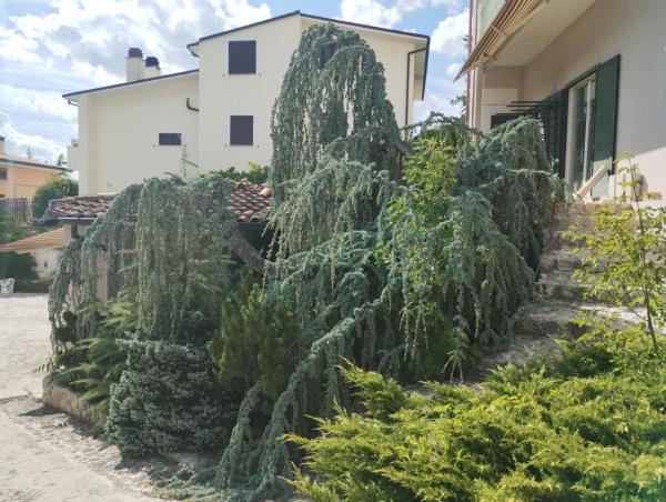 Country House Villa Gigina - Abruzzen
